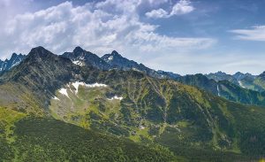 The Brown Bear in the Pyrenees - The Adventure Creators